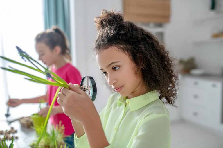 5 Jenis Angle Kamera dalam Fotografi - Mocaas Blog